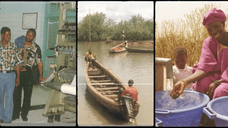 BADEA Timeline - badea