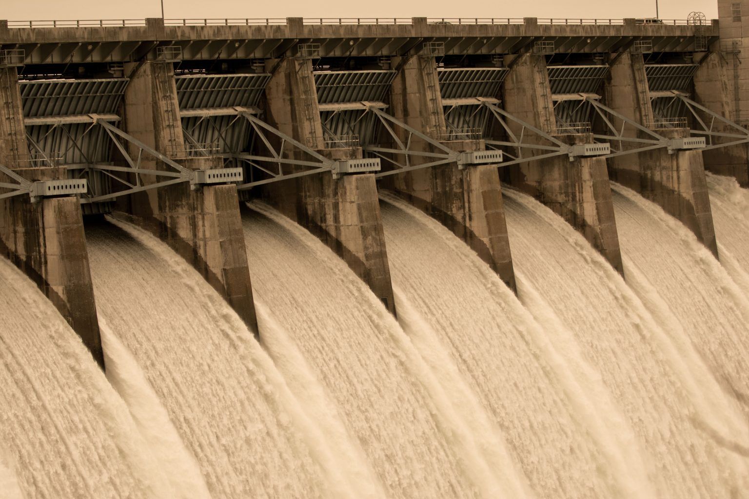 WHAT WE OFFER - Overview - badea